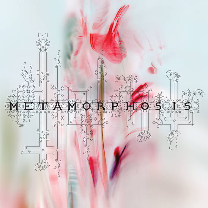 Metamorphosis Artwork
