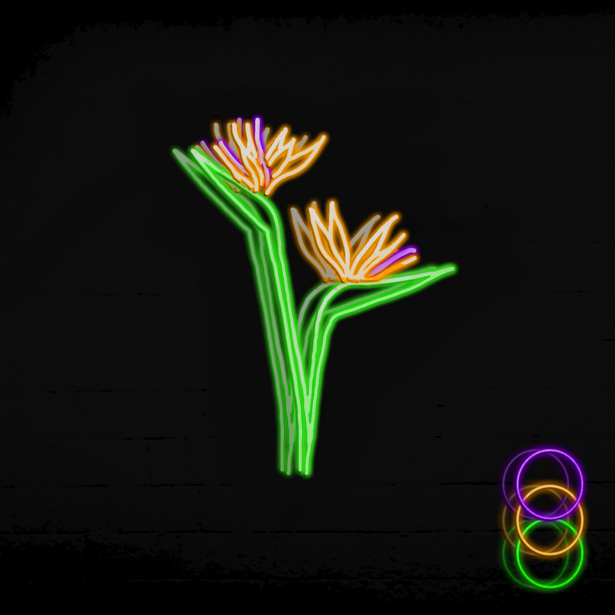 dissolvent | Sparkle Motion