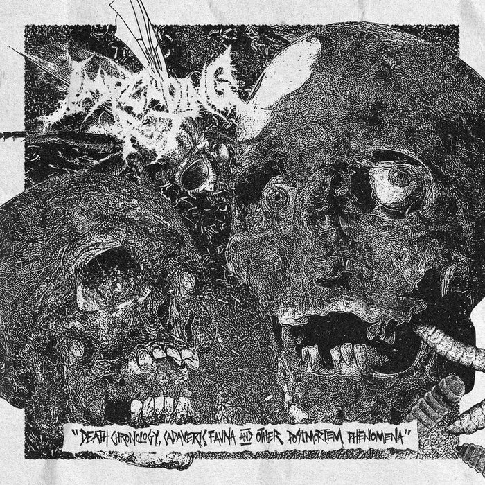 Caustic Phlgem/Impending Rot– Putrefying Flesh / Death Chronology ...