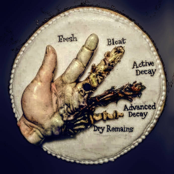 Human Decomposition Stages