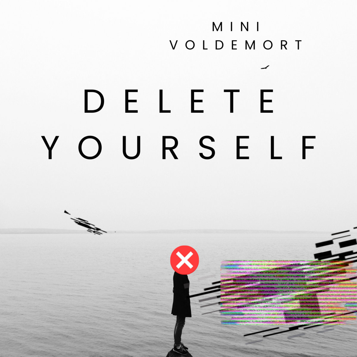 Delete Yourself | Mini Voldemort
