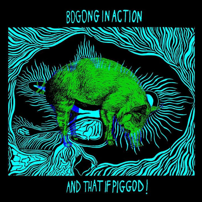 And That If Piggod! | Bogong In Action