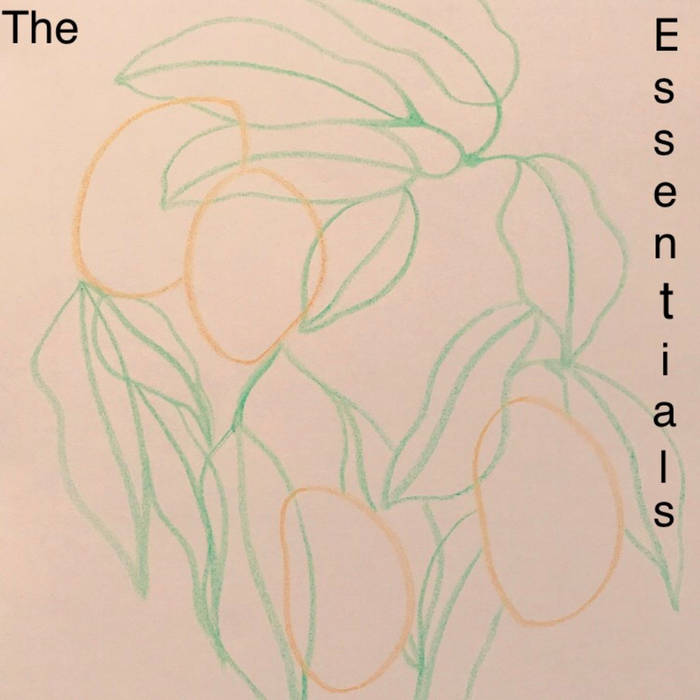 The Essentials | Will Staler and friends | Will Staler