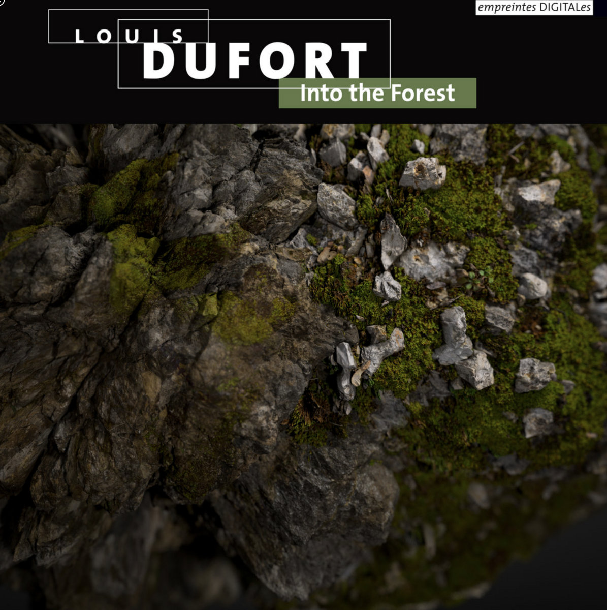 Into The Forest | Louis Dufort