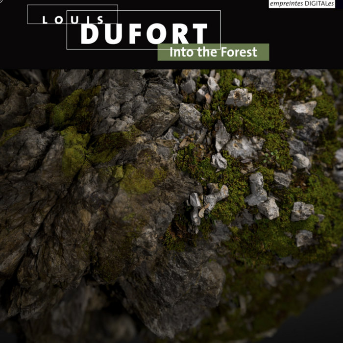 Into The Forest | Louis Dufort