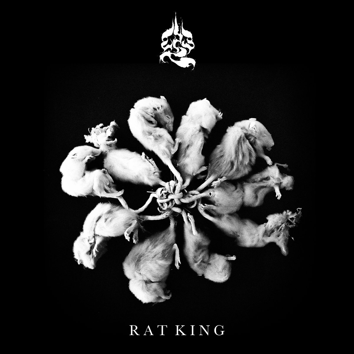 Rat King | EVERYTHINGYOUEVERLOVED