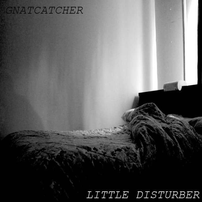 Little Disturber | Gnatcatcher