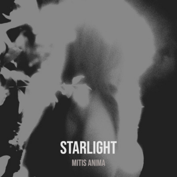 STARLIGHT | MITIS ANIMA