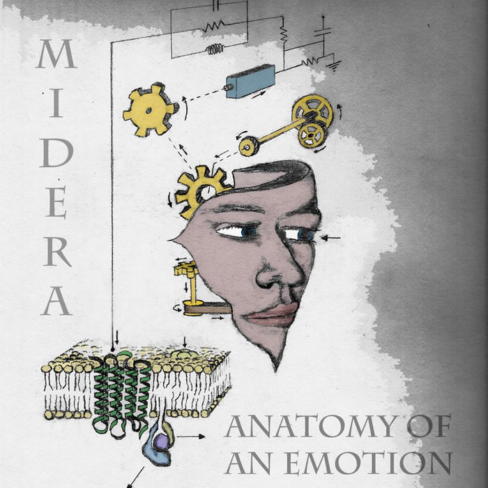 Anatomy Of An Emotion Midera anatomy-of-an-emotion-midera