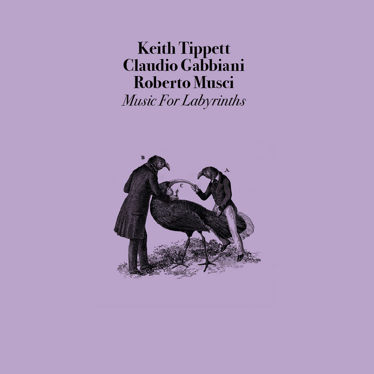 Music For Labyrinths | Keith Tippett, Claudio Gabbiani, Roberto Musci ...