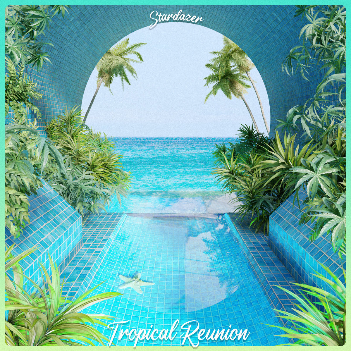 Tropical Reunion | Stardazer
