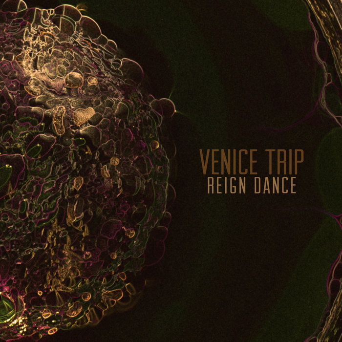 Reign Dance - Single | Venice Trip