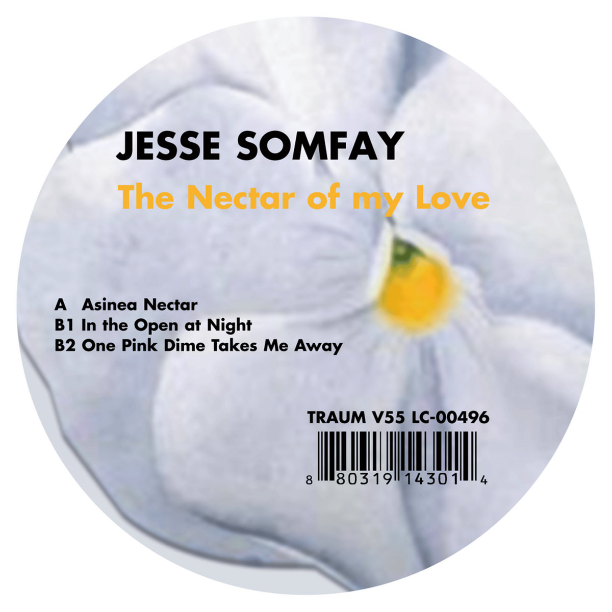The Nectar of my Love | Jesse Somfay | Traum Schallplatten