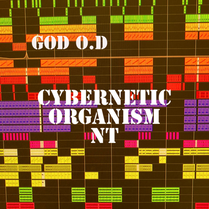 cybernetic organism NT | ゴッドOD | Stereo Records
