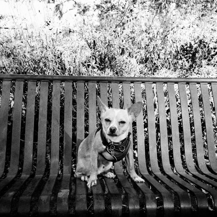 two fifths | Nah Dawg