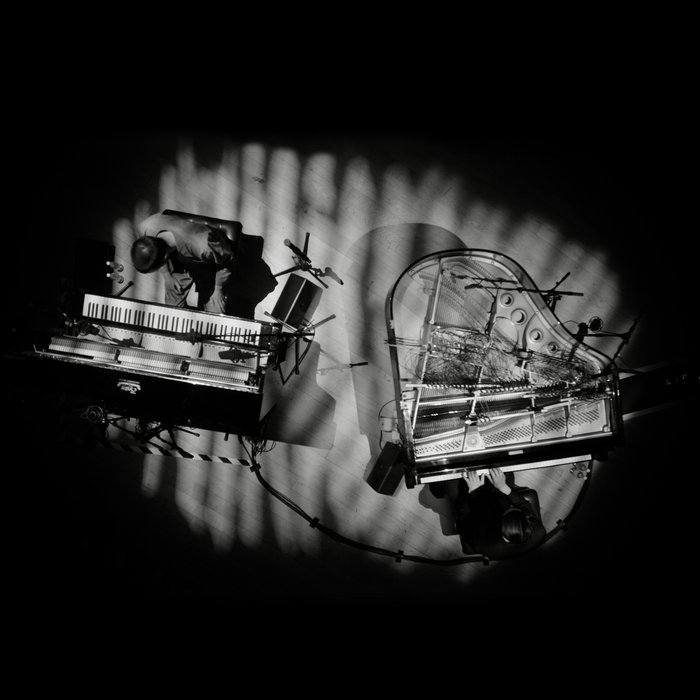 Still Live | The Vernon Spring, Gwilym Gold | The Vernon Spring