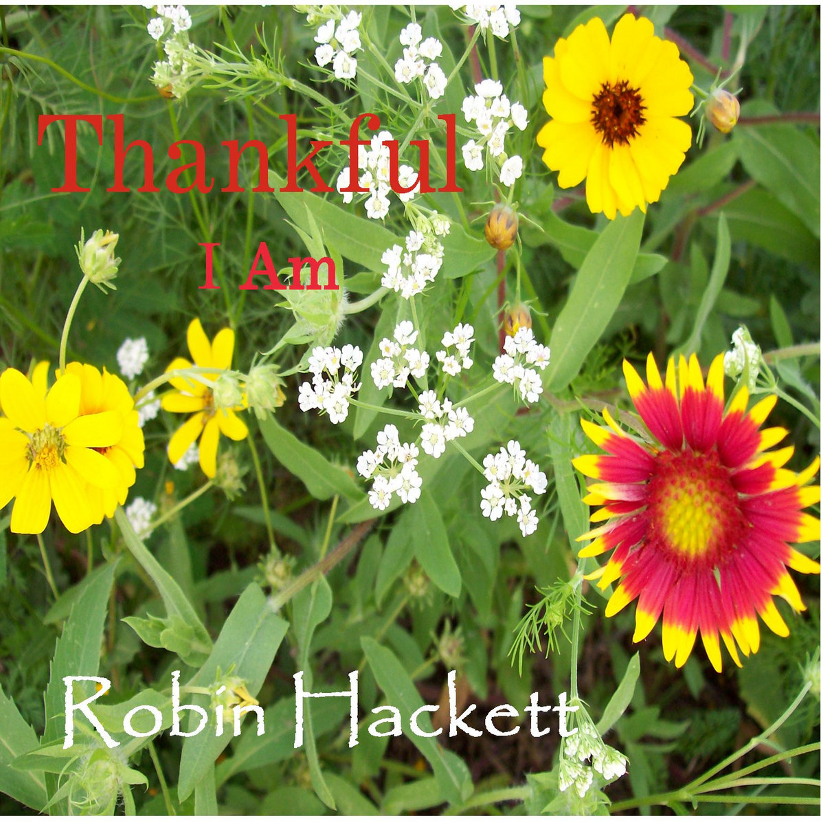 Thankful, I am | Robin Hackett