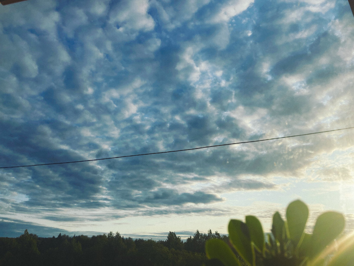 take me on a nice walk | lurp sheets