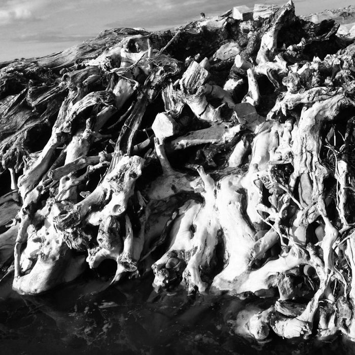 The End Is Now | Jonny Swift