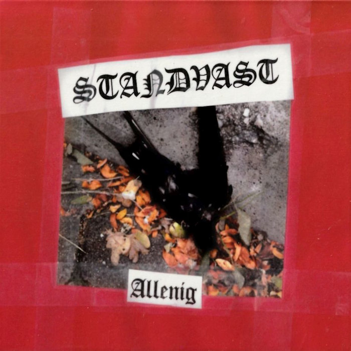 Allenig | Standvast