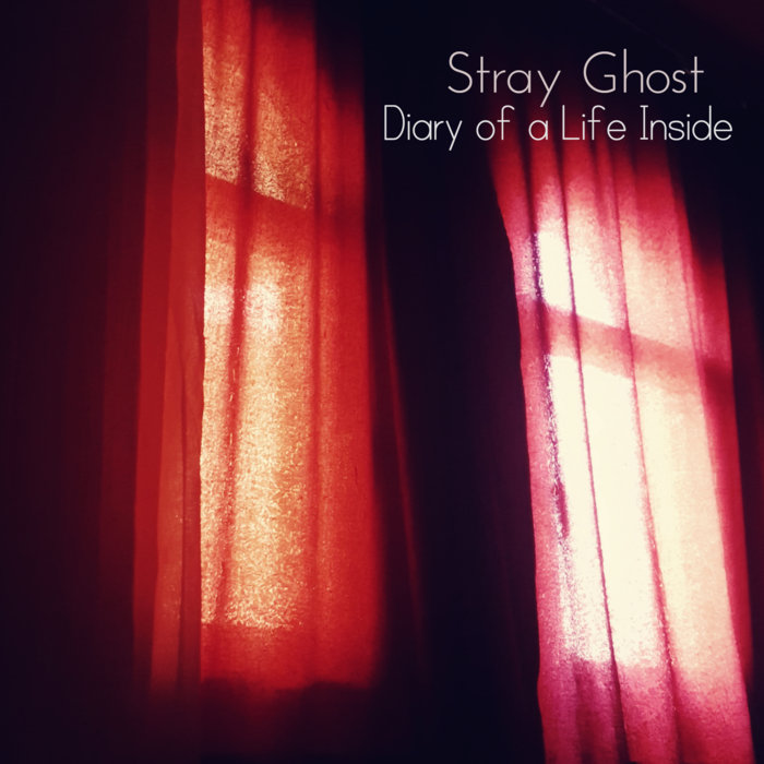 Diary of a Life Inside | Stray Ghost // Anthony Baden Saggers
