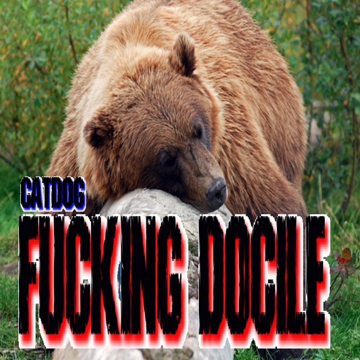 (ENDE235) Catdog - Fucking Docile | ENDE Records Australia