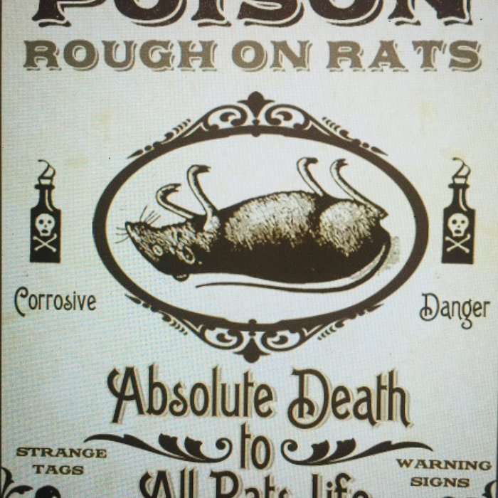 Rat Poison | the Fossils | Sad Boxer