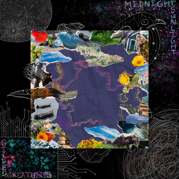 Midnight Sunlight | Gilded Creatures