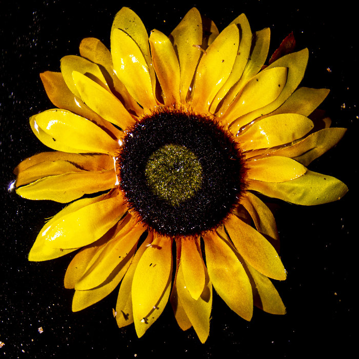 Sunny Days/Coda | Miniluv