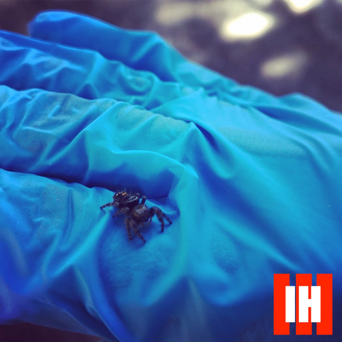 Is There A Spider On My Elbow? | Introducing Hagleton