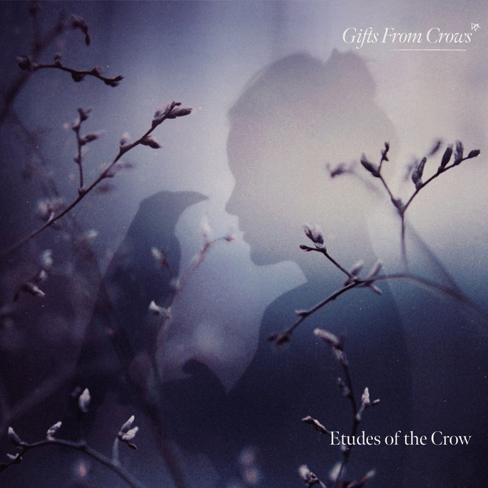 Etudes of the Crow | Gifts From Crows
