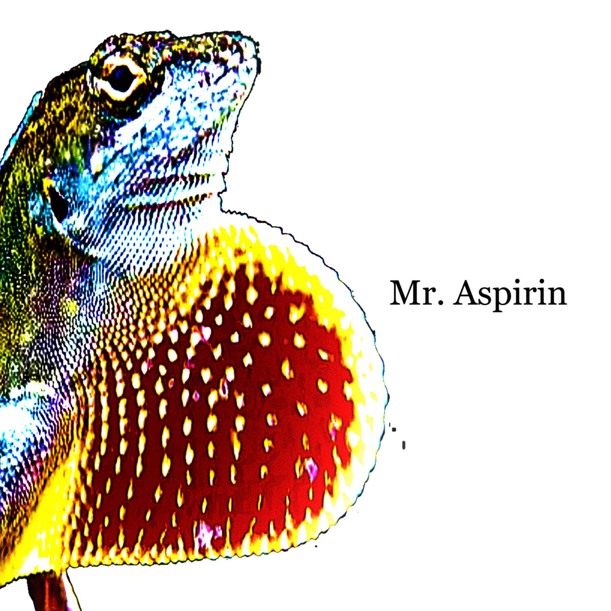 Make This Your Prayer - Early Recordings | Mr. Aspirin | Caveman Recordings