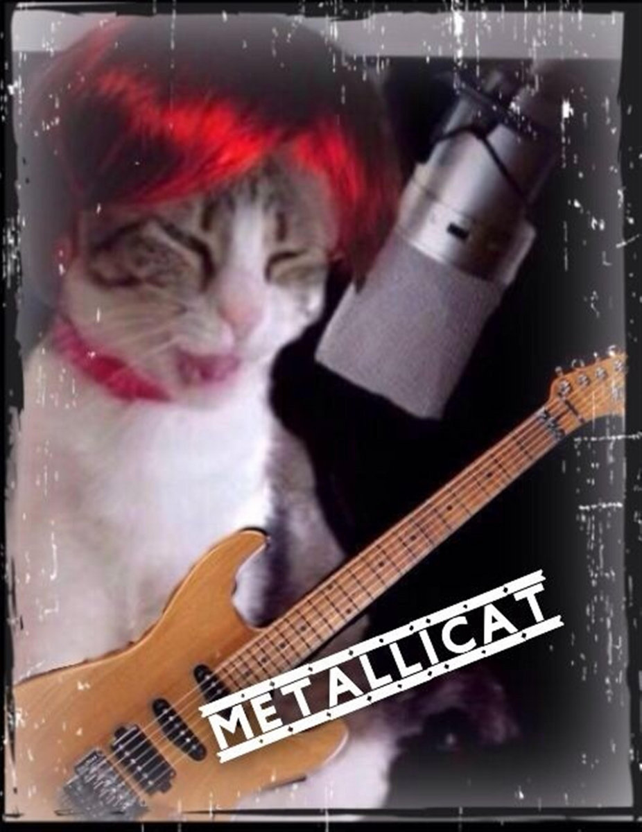 Dancing Cat | METALLICAT