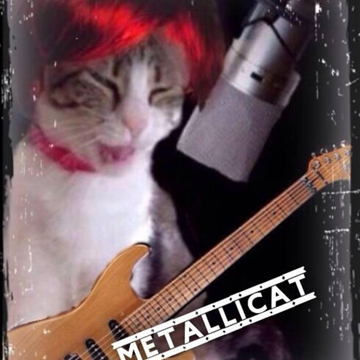 Dancing Cat | METALLICAT
