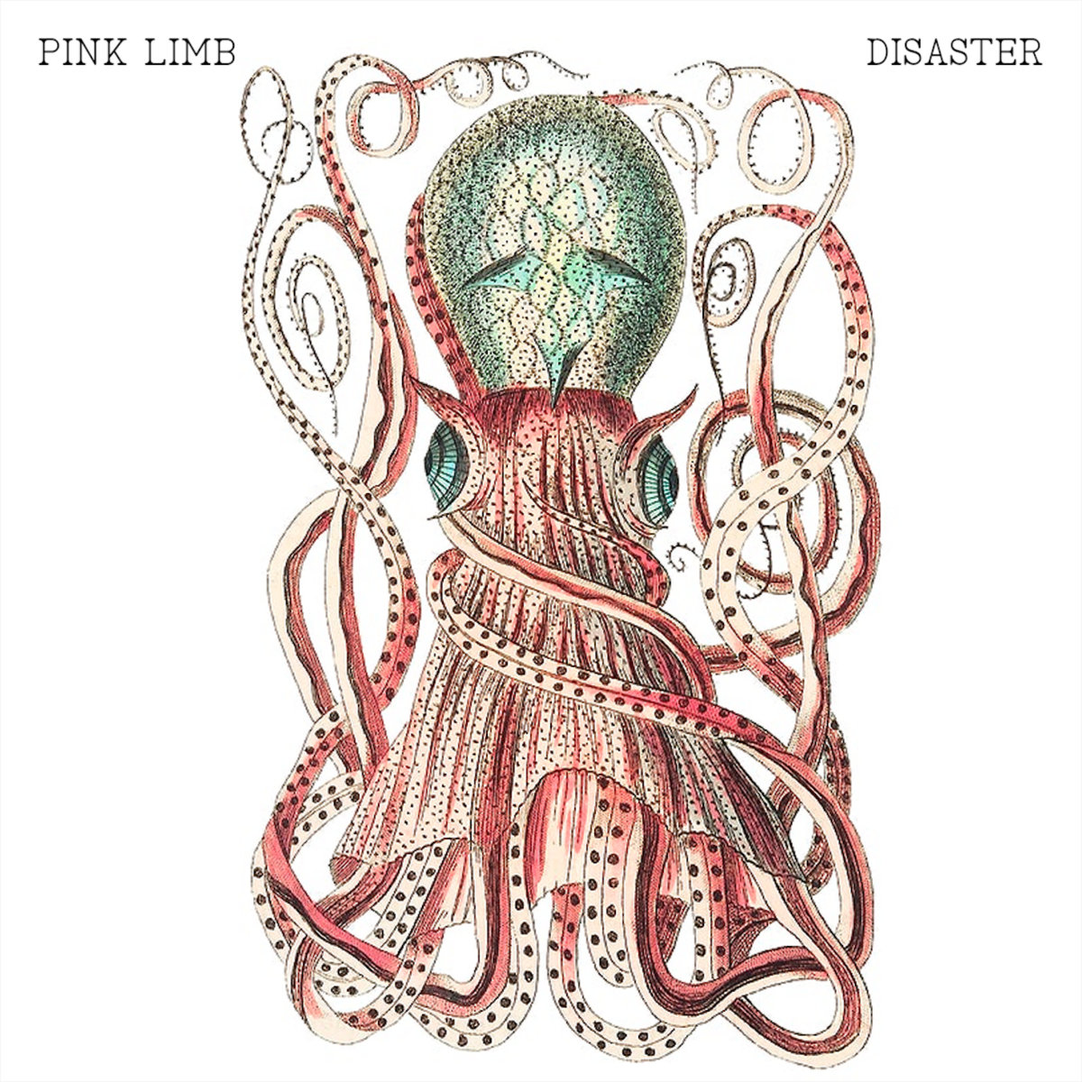 Disaster | pink limb