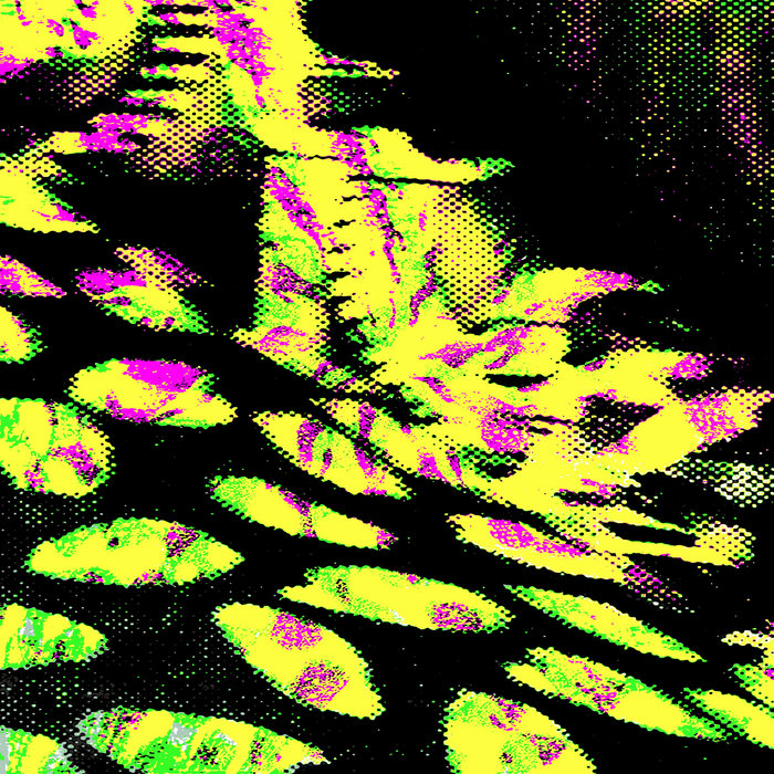 EYEAM003 / Matheiu _EYE AM | Matheiu, Eyeam | Matheiu