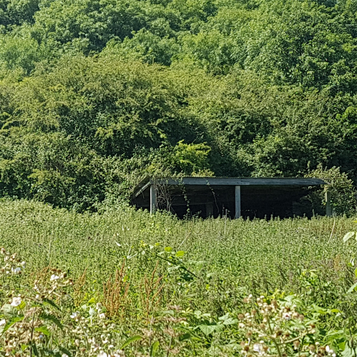 Double B | Seth Cooke