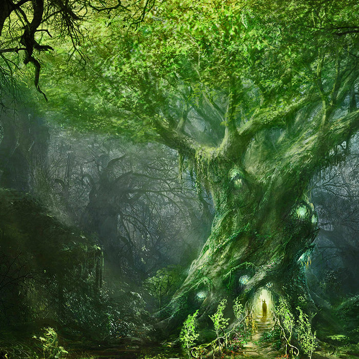 Sylvan Elves | Derek Fiechter