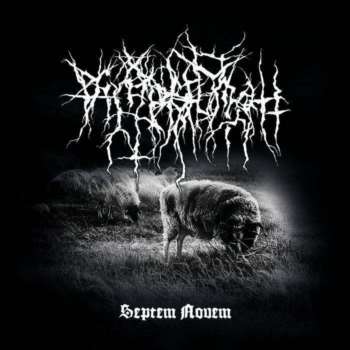 Septem Novem | Vimbulnatt