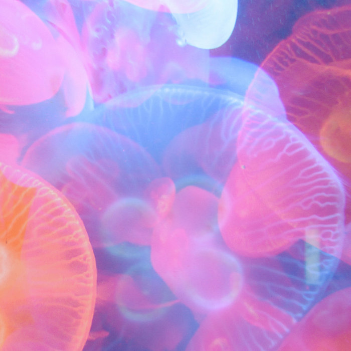 Scozbor | Scozbor | Contumancia