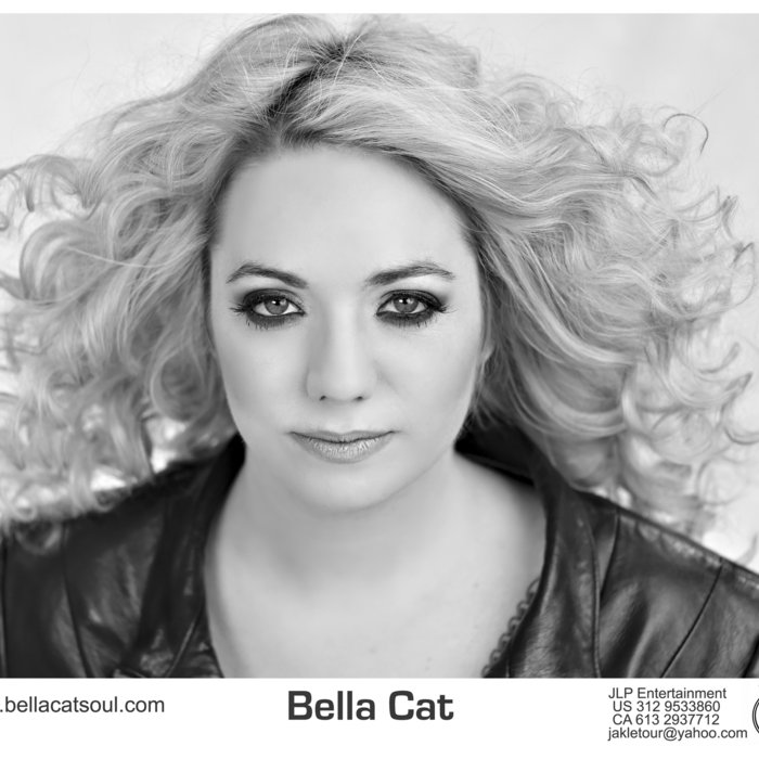 Tonight is the Night for Freedom | Bella Cat