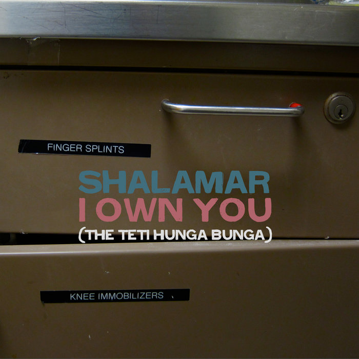 I Own You (The Teti Hunga Bunga) | Tigers on a Leash