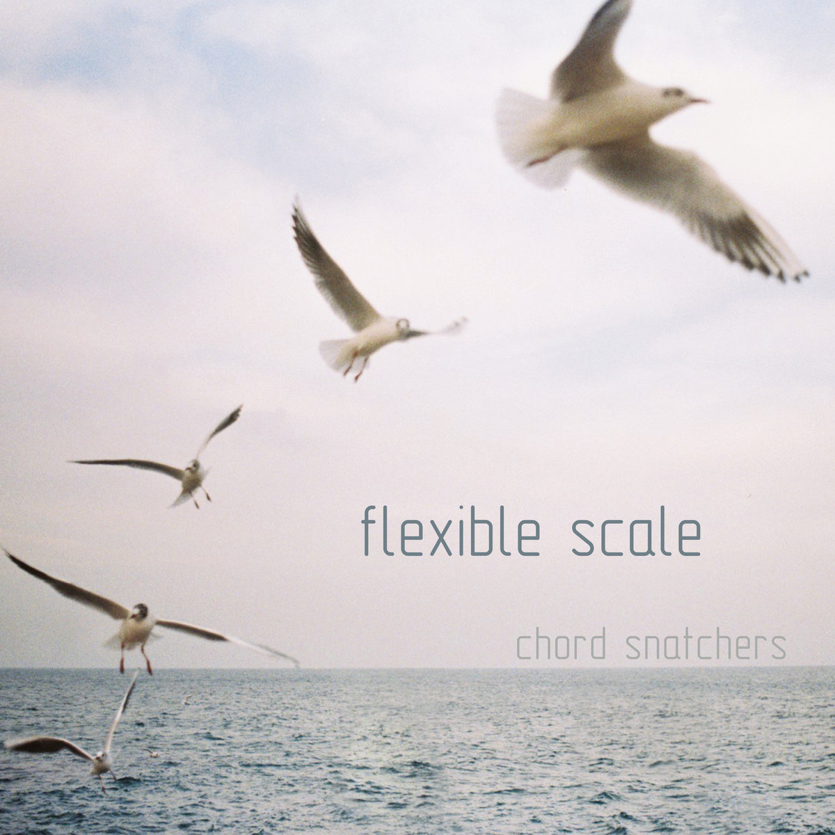 flexible scale | Chord Snatchers