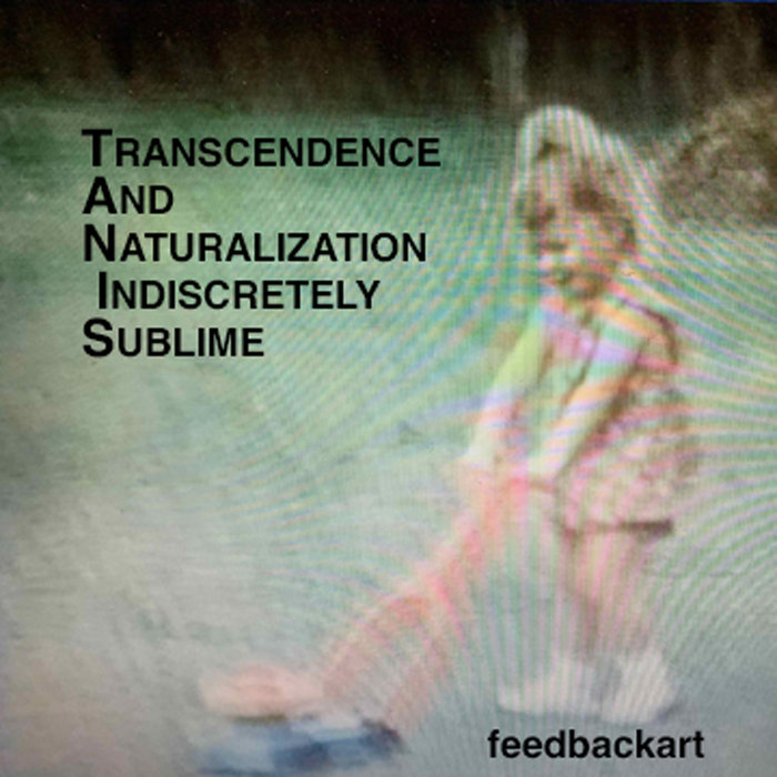 Transcendence And Naturalization Indiscretely Sublime | Feedback Art