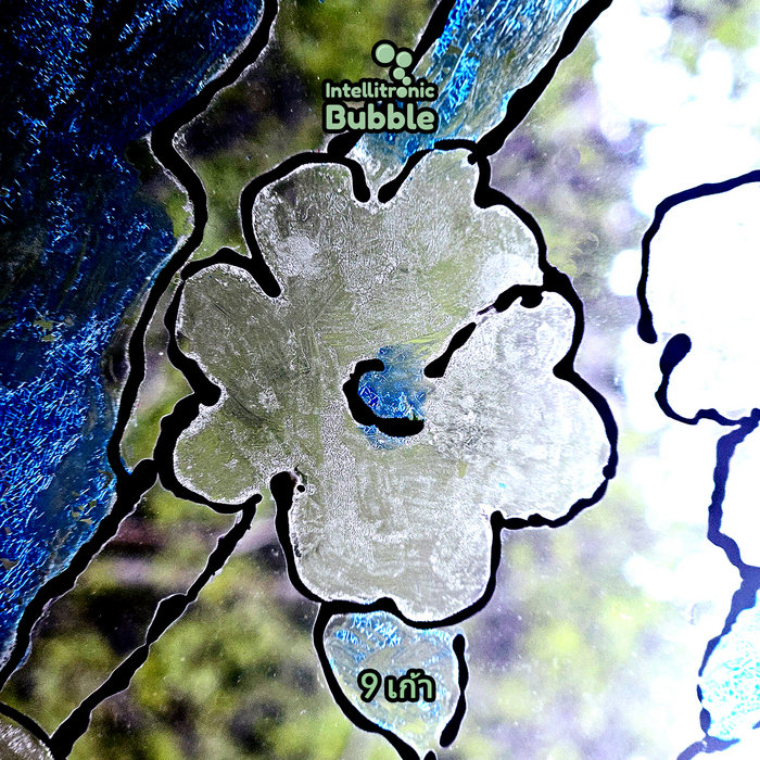 Bubble Flowers 9 เก้า | Various | Intellitronic Bubble