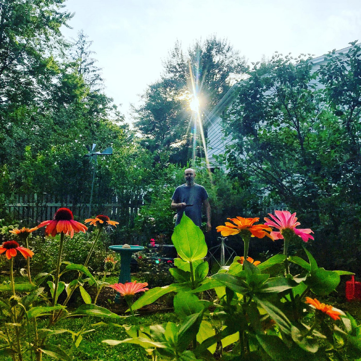 From A Flower To A Garden | Robert Turman