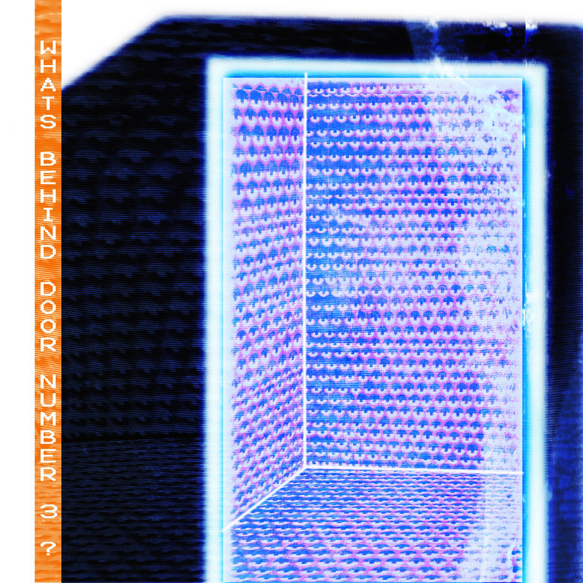 What's Behind Door Number 3? | Mucoid