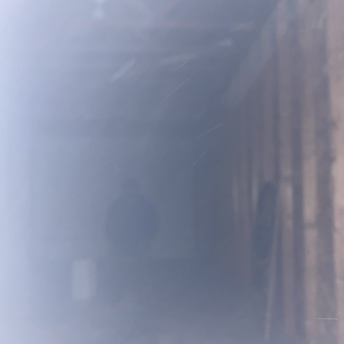 sloth lung | Small Animal Hospital