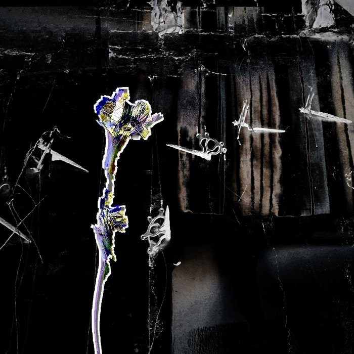 Swan Songs Vol.1 | Swan Songs