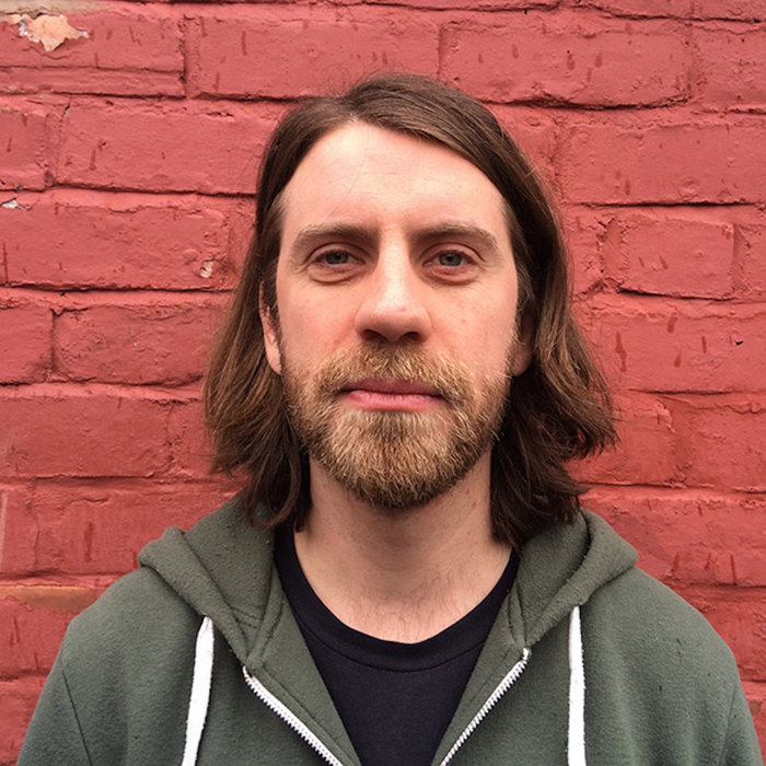 Sunflower | David Birchall